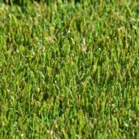 SWG Natural Collection | Southwest Greens